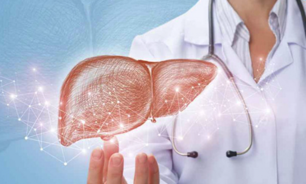 Steatoza hepatică sau ficatul gras: Ce trebuie să știi despre această ...